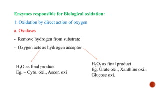 Biological oxidation | PPTX