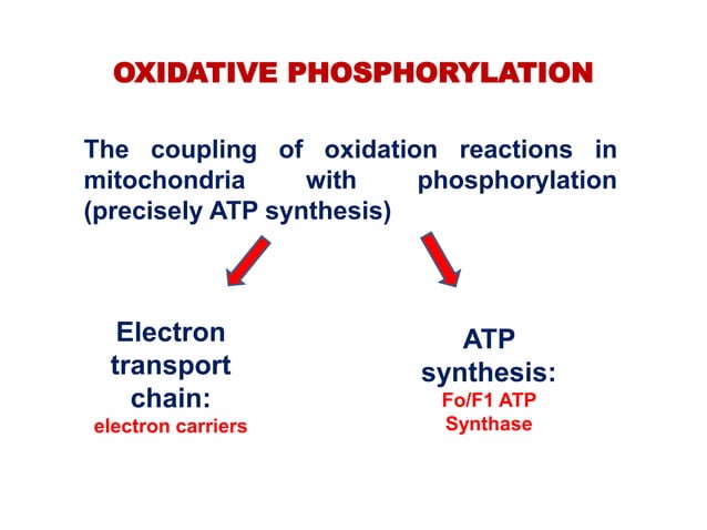 Biological oxidation | PPTX | Chemistry | Science