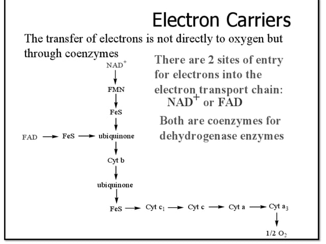 Biological oxidation | PPT
