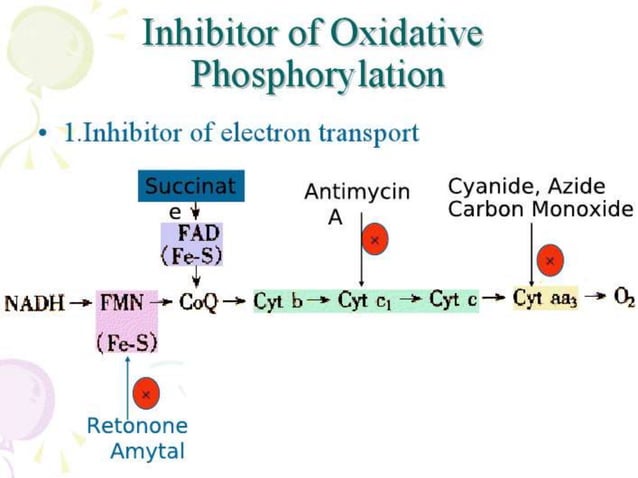 Biological oxidation | PPT