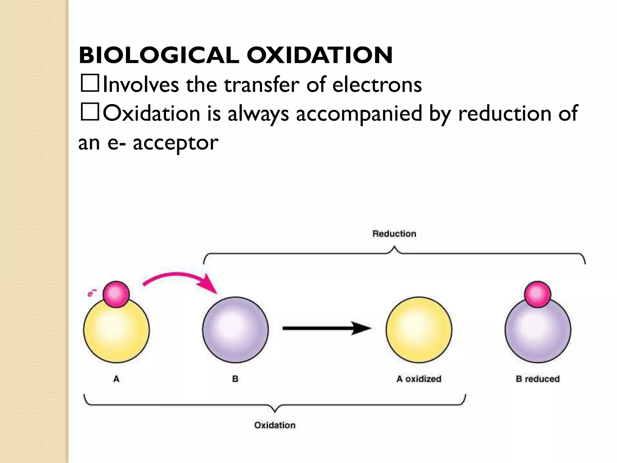 Biological oxidation | PDF