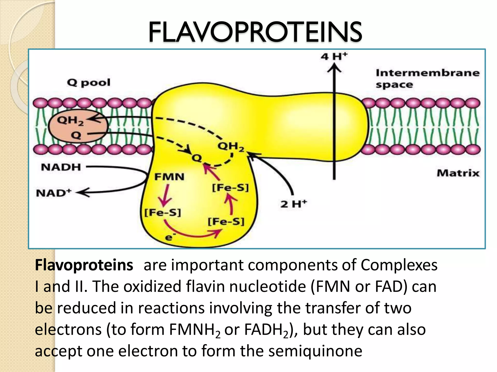 Biological oxidation | PDF