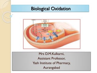 Biological Oxidation Mechanisms and Mitochondrial Processes | PPT