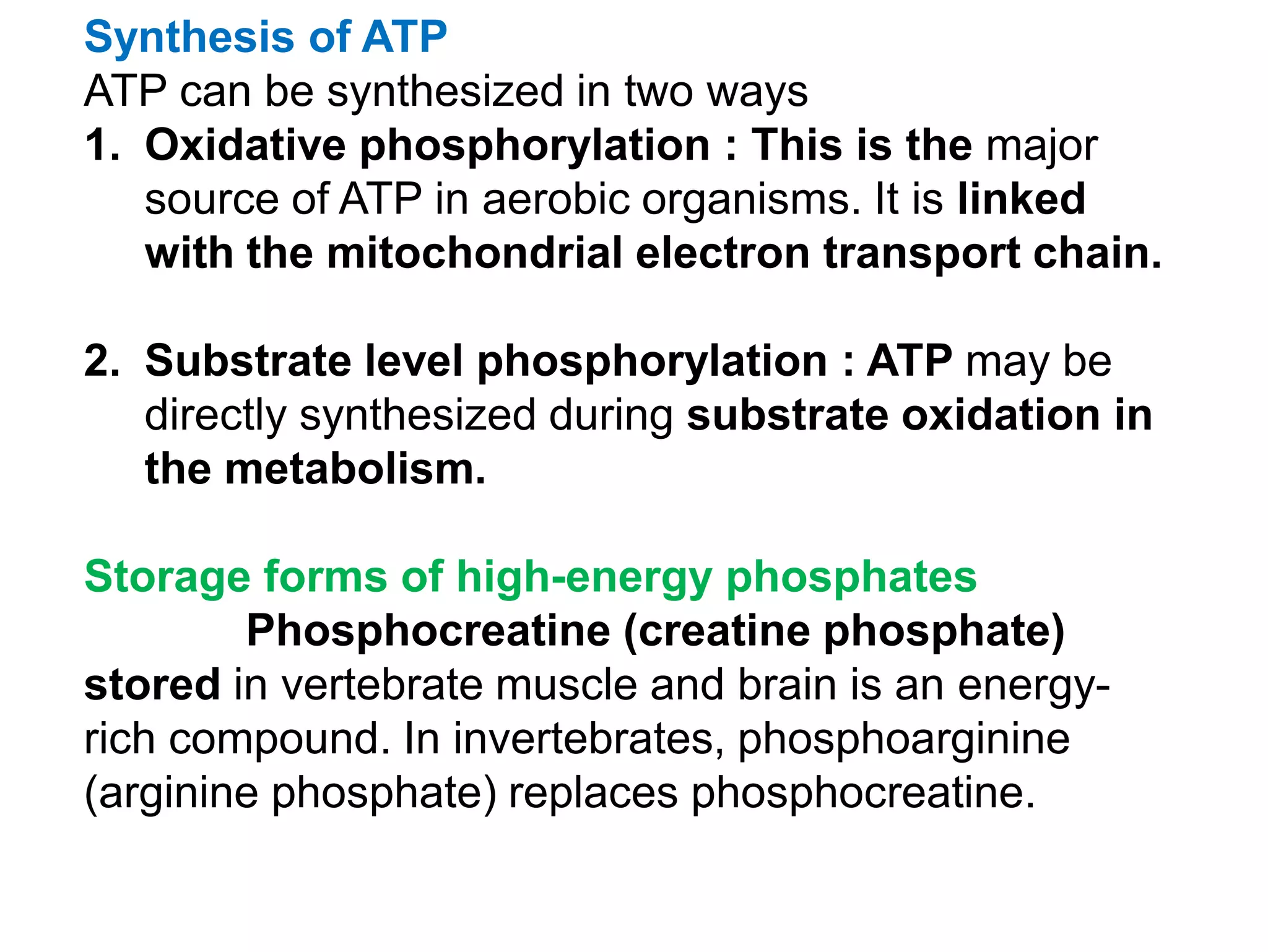 Biological oxidation.pptx