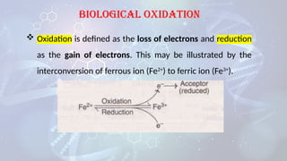 Biological Oxidation and Electron Transport Chain | PPTX