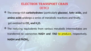 Biological Oxidation and Electron Transport Chain | PPTX