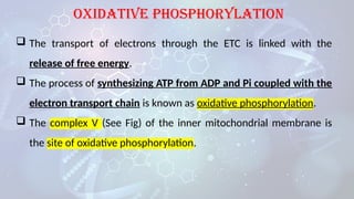 Biological Oxidation and Electron Transport Chain | PPTX