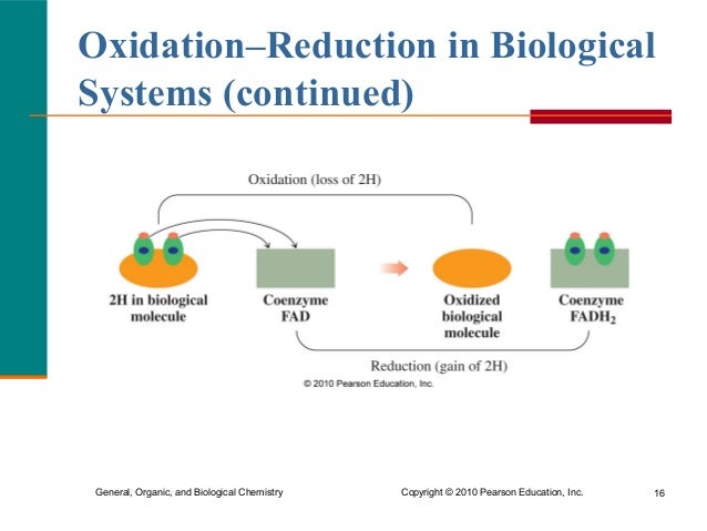 Biological oxidation -5