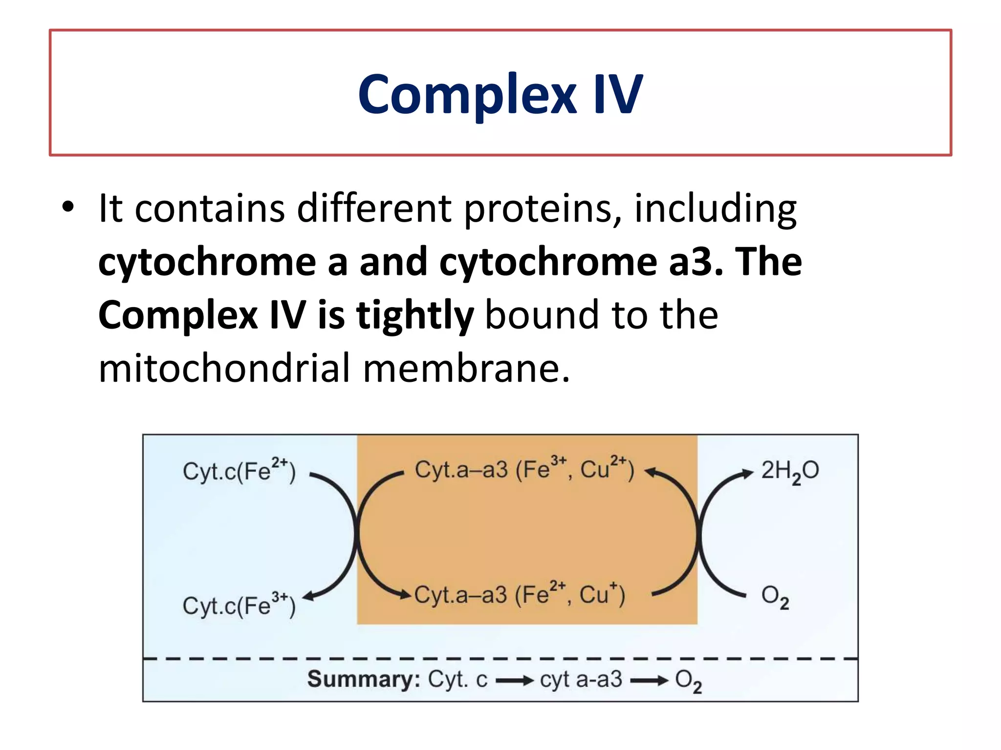 Biological oxidation and Electron transport chain (ETC).pptx