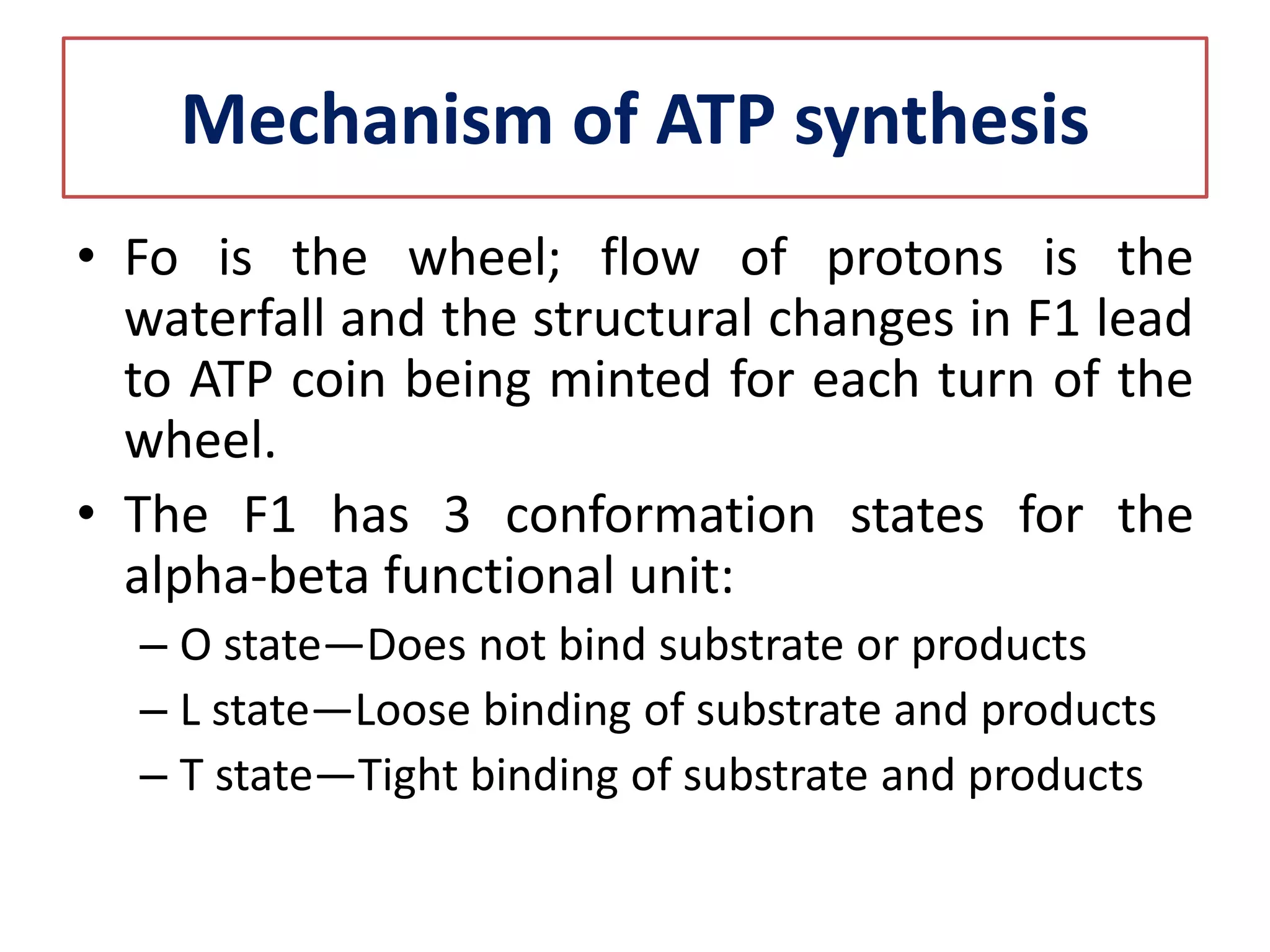 Biological oxidation and Electron transport chain (ETC).pptx