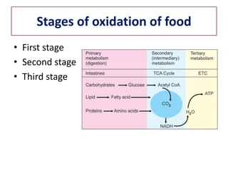 Biological oxidation and Electron transport chain (ETC).pptx