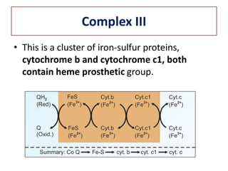 Biological oxidation and Electron transport chain (ETC).pptx