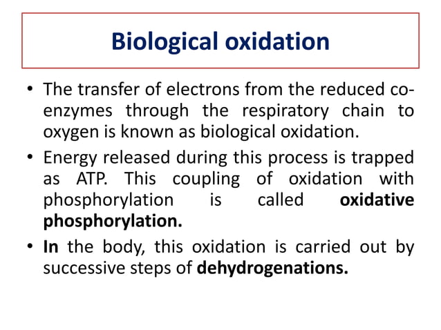 Biological oxidation and Electron transport chain (ETC).pptx