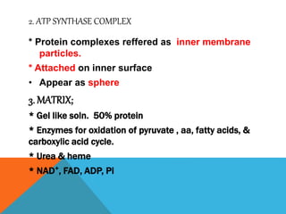 Biological oxidation and reduction | PPTX