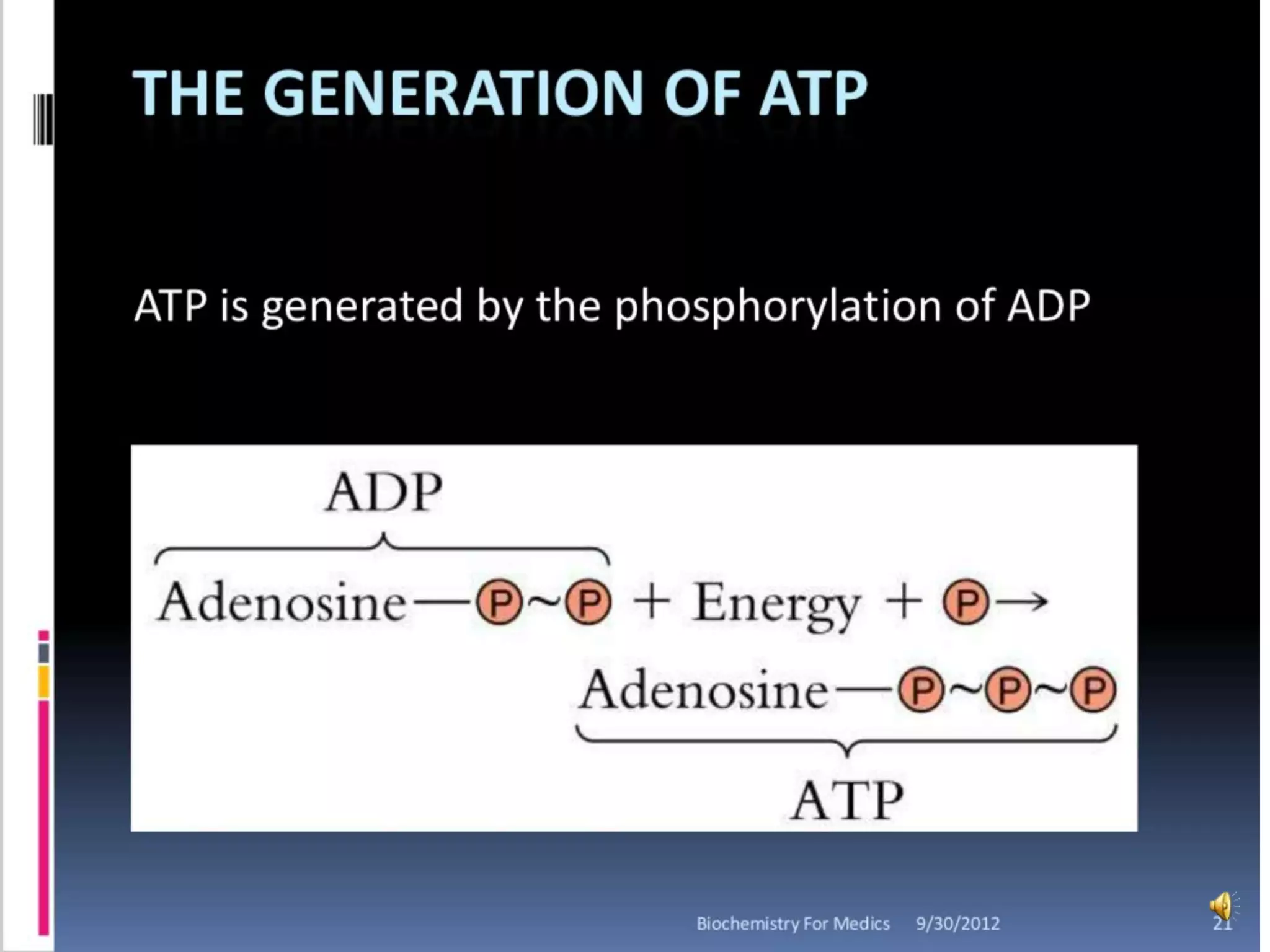 Biological oxidation of ATP synthesis - Part II | PPT