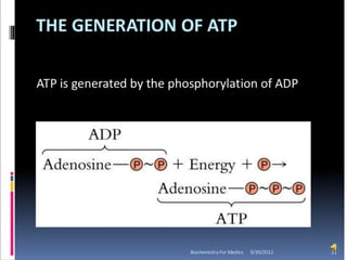 Biological oxidation of ATP synthesis - Part II | PPT
