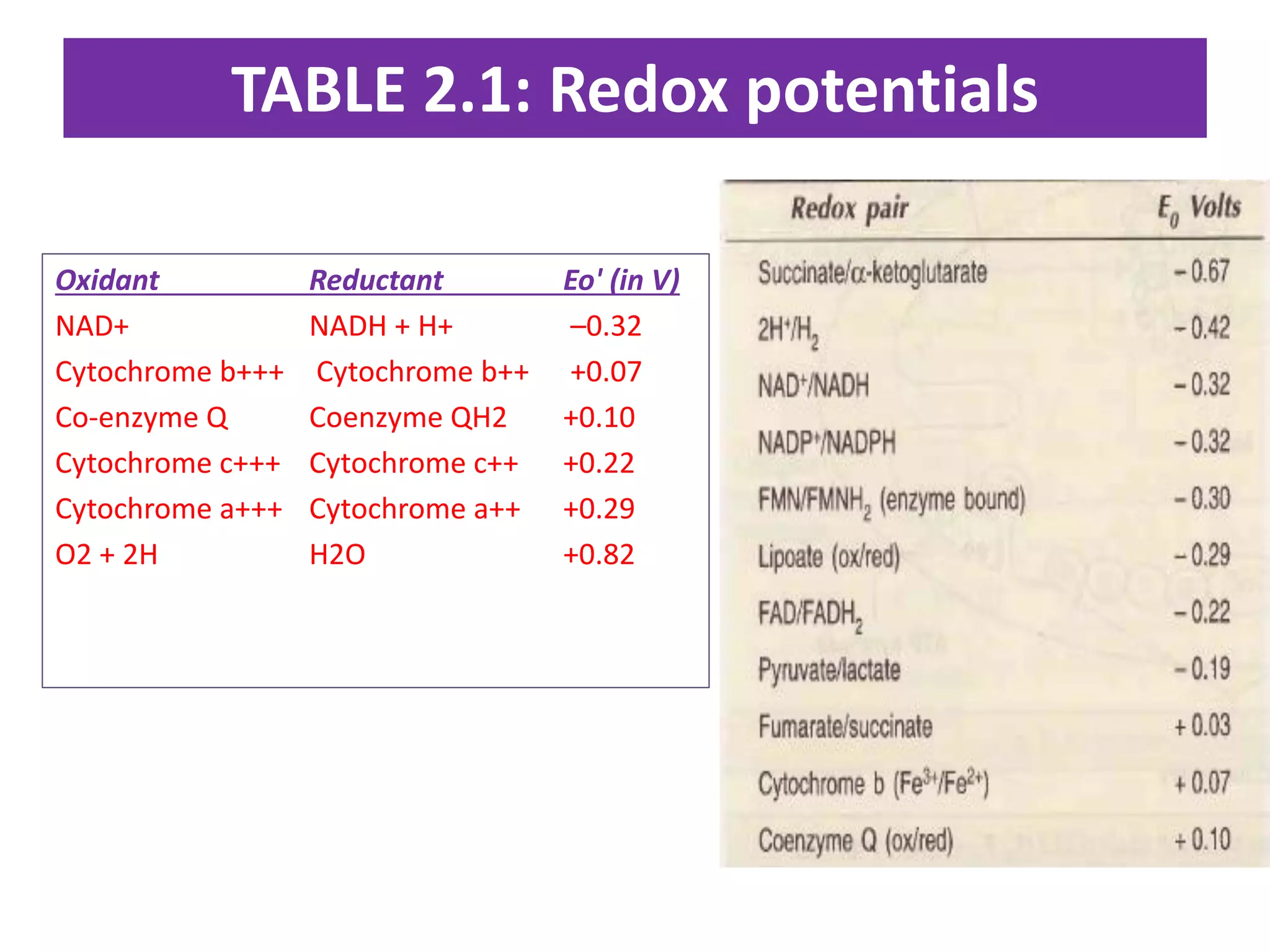 Biological oxidation L1 | PPT