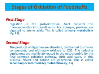 Biological oxidation L1 | PPT