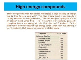 Biological oxidation L2 | PPT