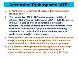 Biological oxidation L2 | PPT