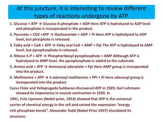 Biological oxidation L2 | PDF