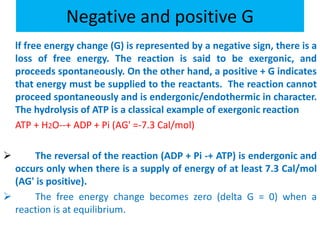 Biological oxidation L2 | PPT