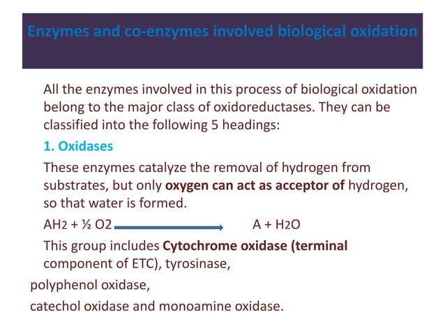 Biological oxidation L2 | PPT