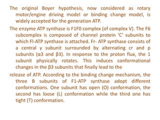 Biological oxidation L5 (oxidative phosphorylation) pdf | PPT