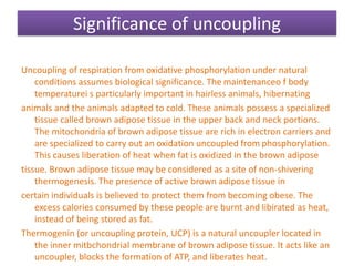 Biological oxidation L5 (oxidative phosphorylation) pdf | PPT