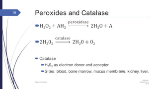 Biological oxidation reduction | PDF