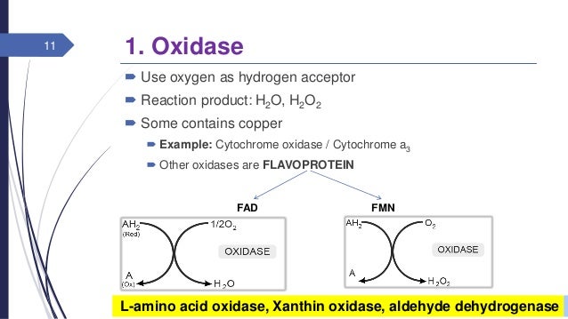 Biological oxidation reduction