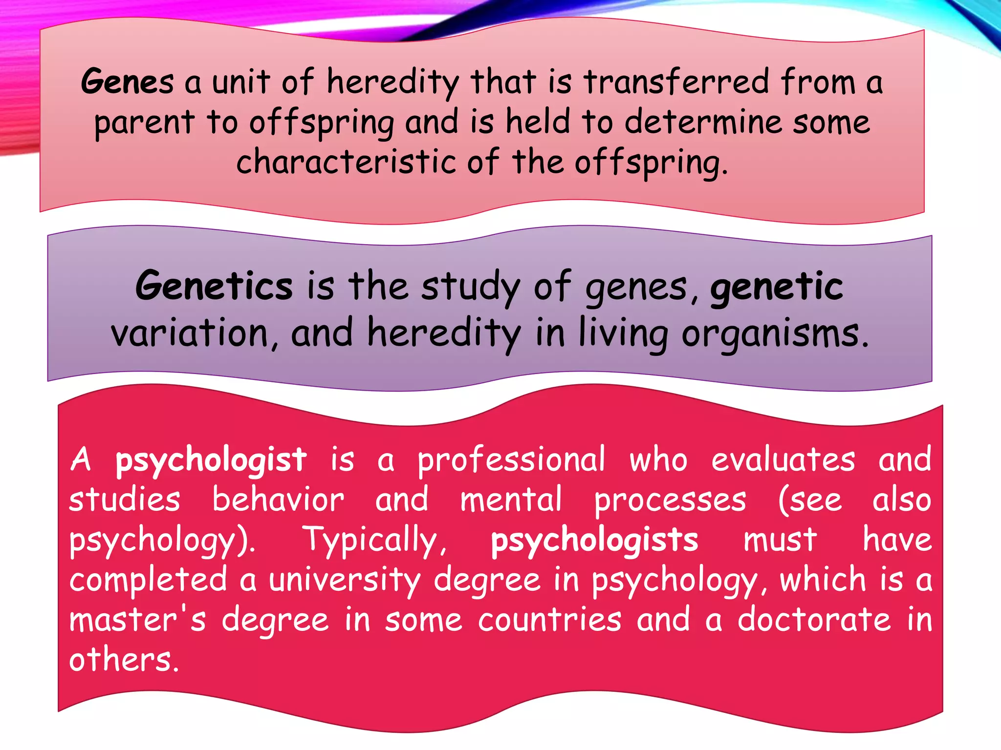 Biological Basis of Personality | PPTX