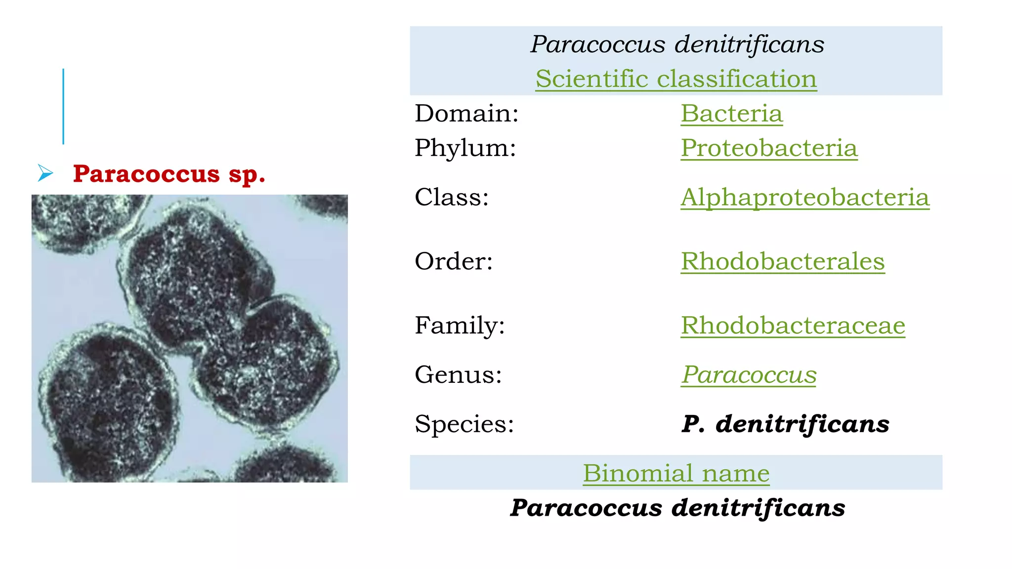 Biological phosphorus removal for waste water treatment | PPTX