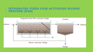 Biological phosphorus removal for waste water treatment | PPTX
