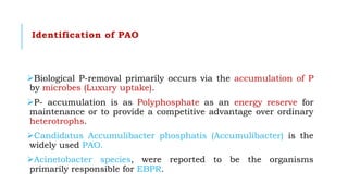 Biological phosphorus removal for waste water treatment | PPTX