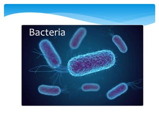 Biological Pollution.pptx
