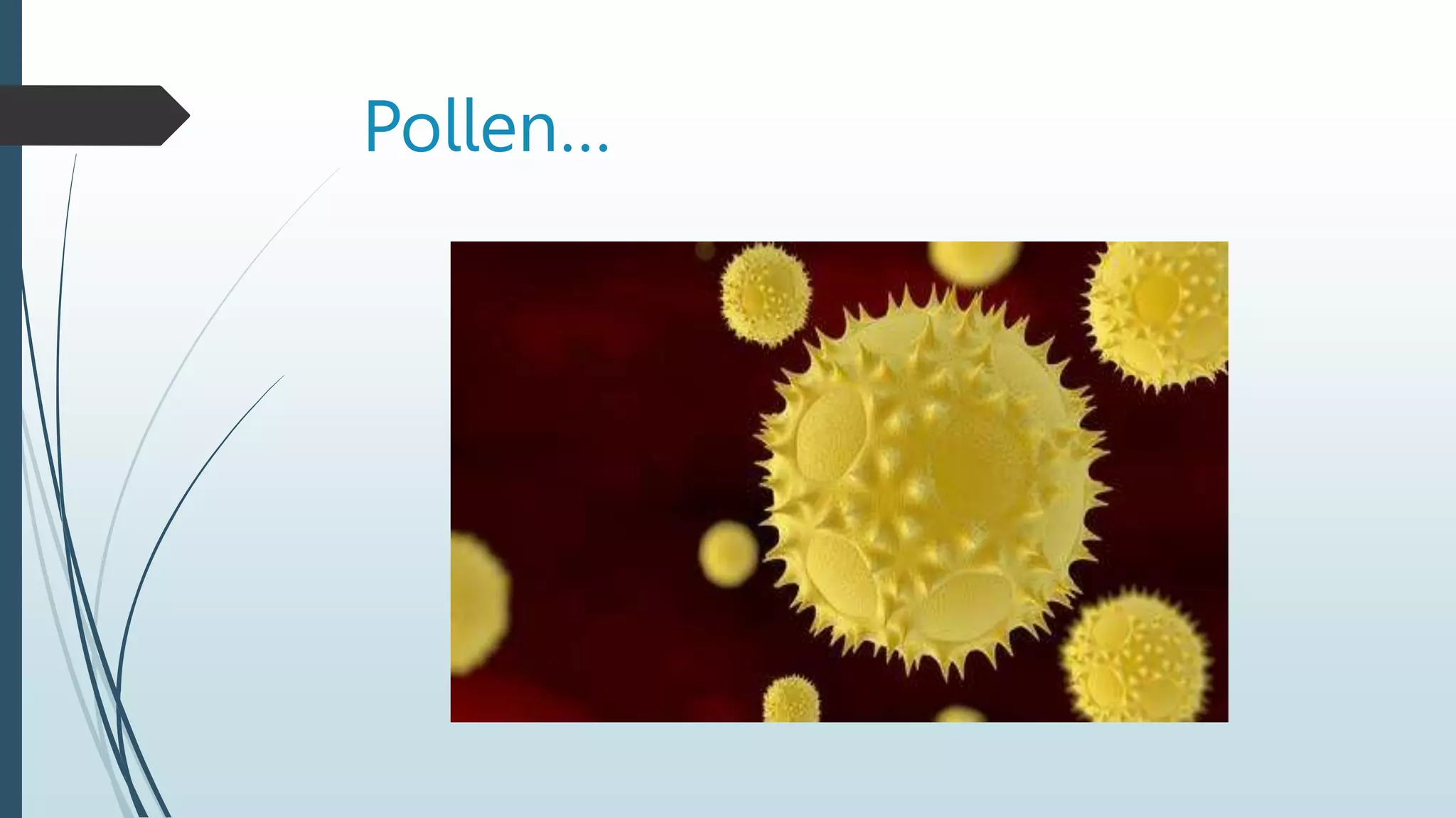 biological pollution ppt sac final.pptx