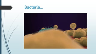 biological pollution ppt sac final.pptx