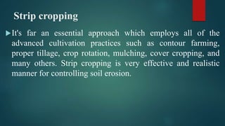 Biological practices to conserve soil | PPT