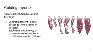 Biological Principles and the Science of Zoology Presentation | PPTX