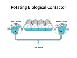 Biological processes | PPT