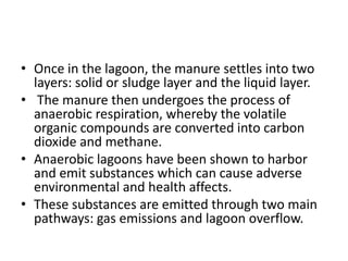 Biological processes | PPT