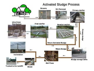 Biological processes | PPTX