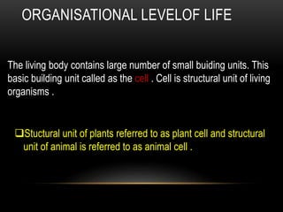 Biological processes | PPTX