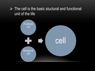 Biological processes | PPTX