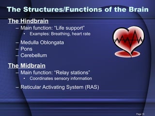Biological Processes 2009 | PPT | Brain and Nervous System Disorders ...