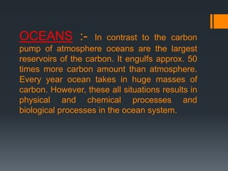 Biological process in the ocean: A brief | PPT