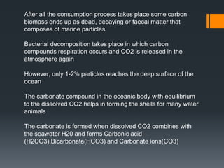 Biological process in the ocean: A brief | PPTX