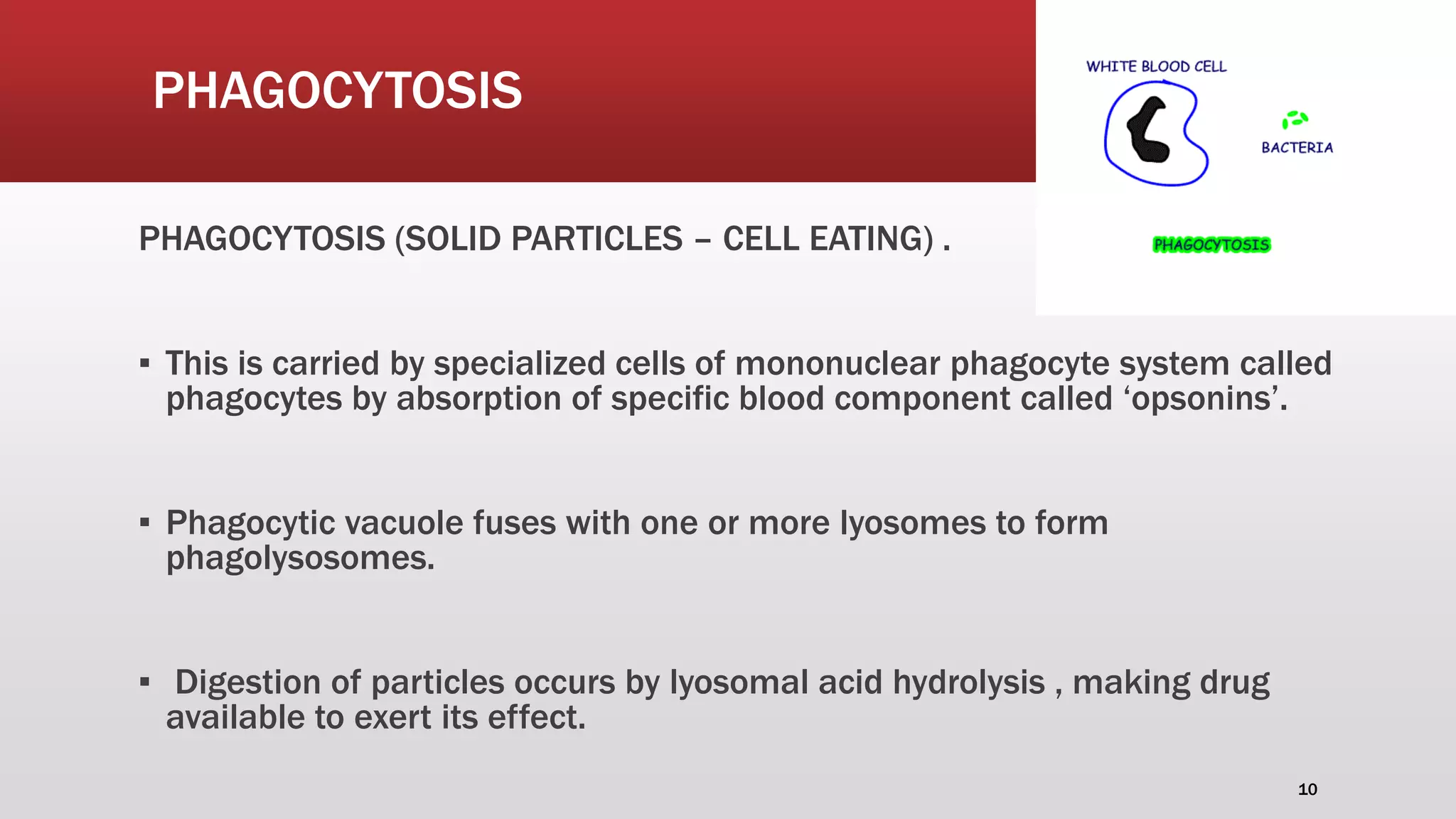 Biological process involved in drug targetting | PPTX