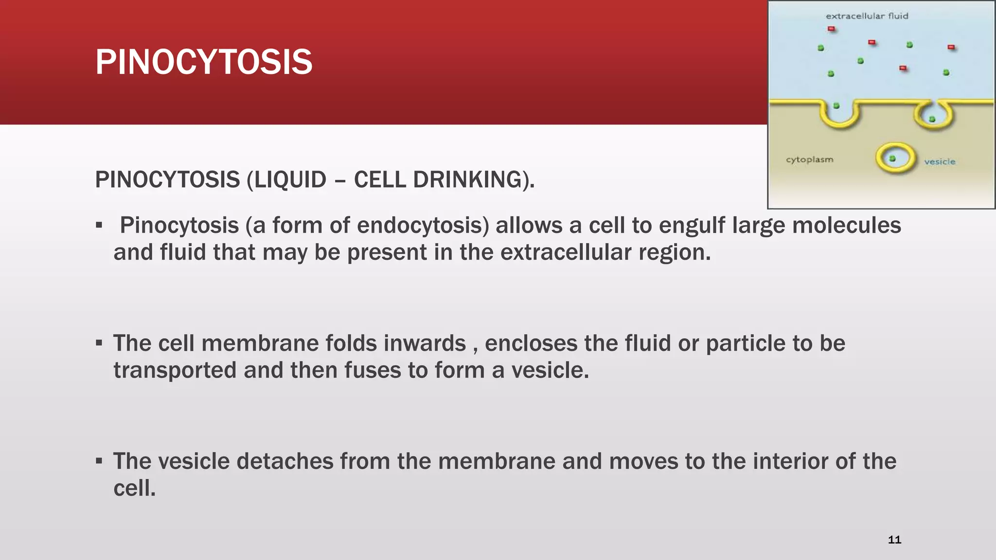 Biological process involved in drug targetting | PPTX
